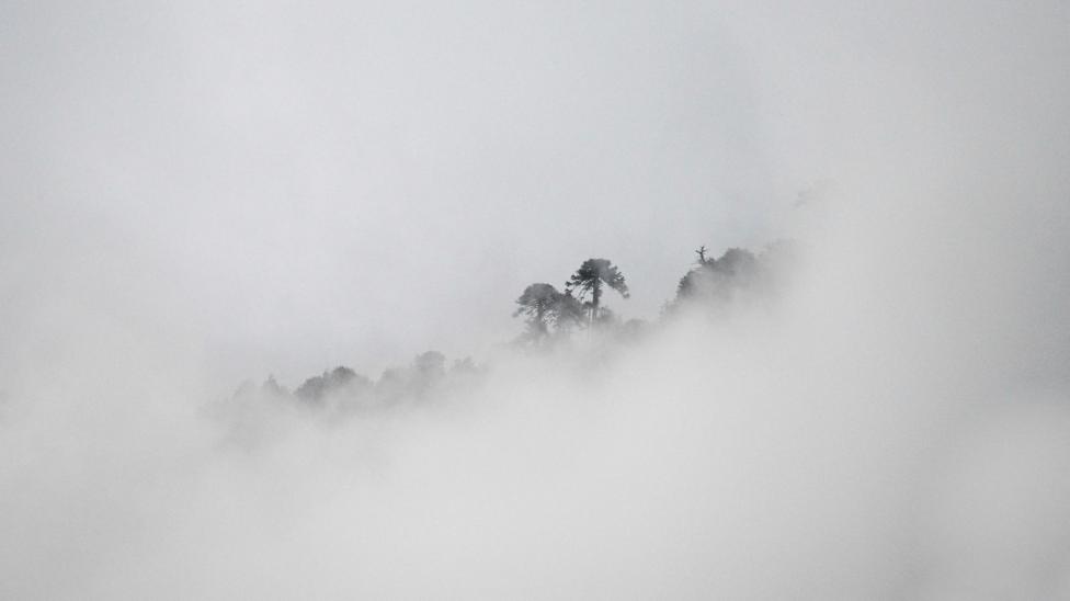 How can fog harvesting help some of the world's driest regions? - BBC ...