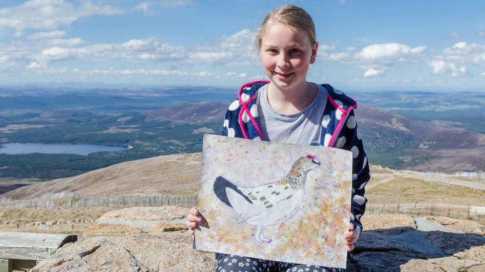 Cairngorms art contest winners revealed - BBC News