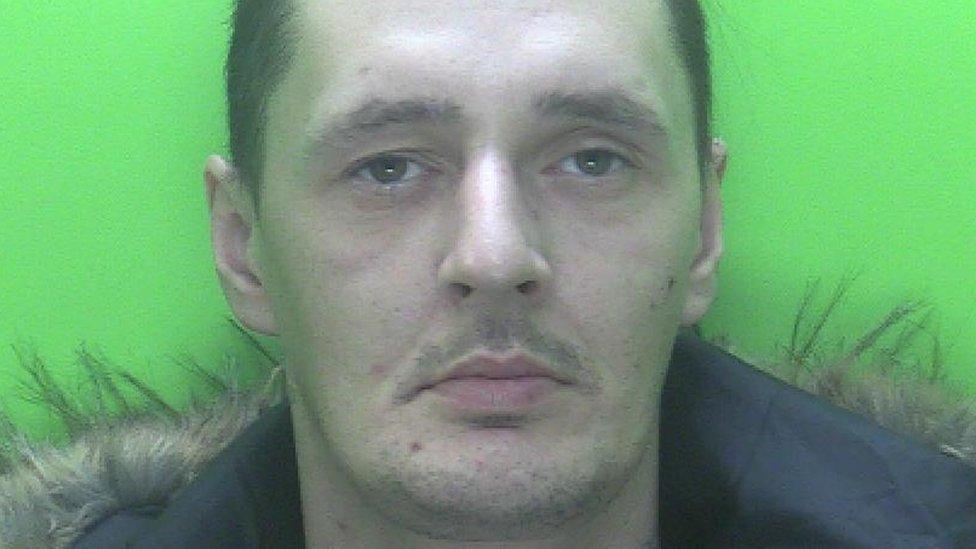 Driver killed woman after being distracted by unrestrained dog - BBC News