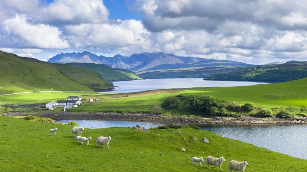 Why is land reform on the agenda in Scotland? - BBC News