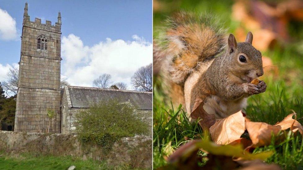 St Erth church bell: Gnawing squirrels eat through ropes - BBC News