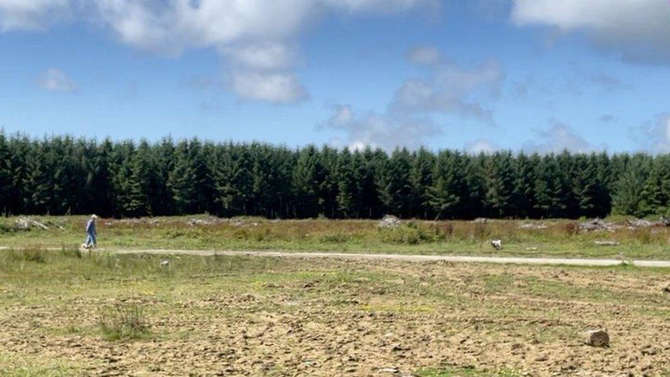 Davidstow Woods reopen after rave clean-up - BBC News