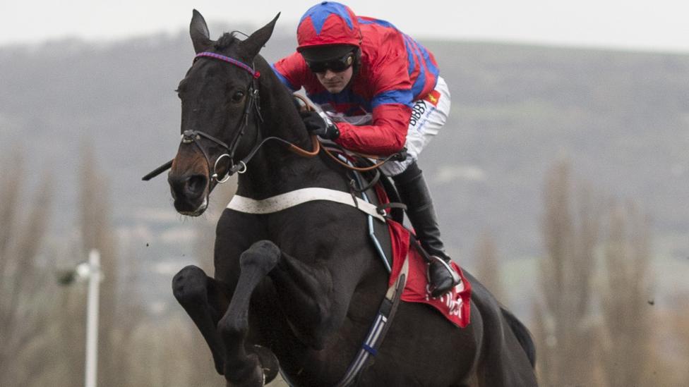 Irish Champion Hurdle: Faugheen wins at Leopardstown - BBC Sport