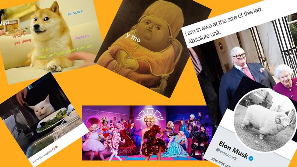 'Absolute unit' meme on show in Bradford museum first - BBC News