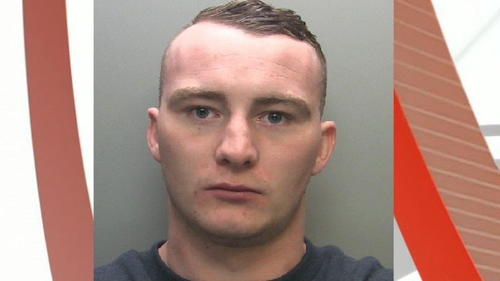 Steven Hall jailed over 'repulsive' nose-bite attack - BBC News