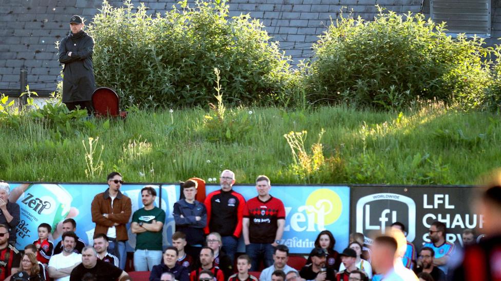 Damien Duff: Shelbourne boss says viral photo of him on grassy bank ...