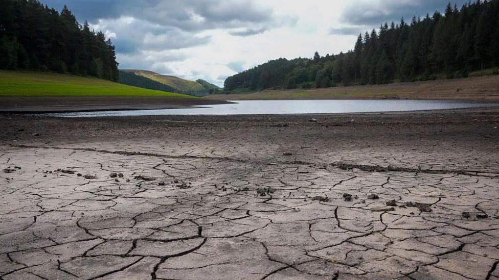Will there be a drought in England? - BBC Newsround