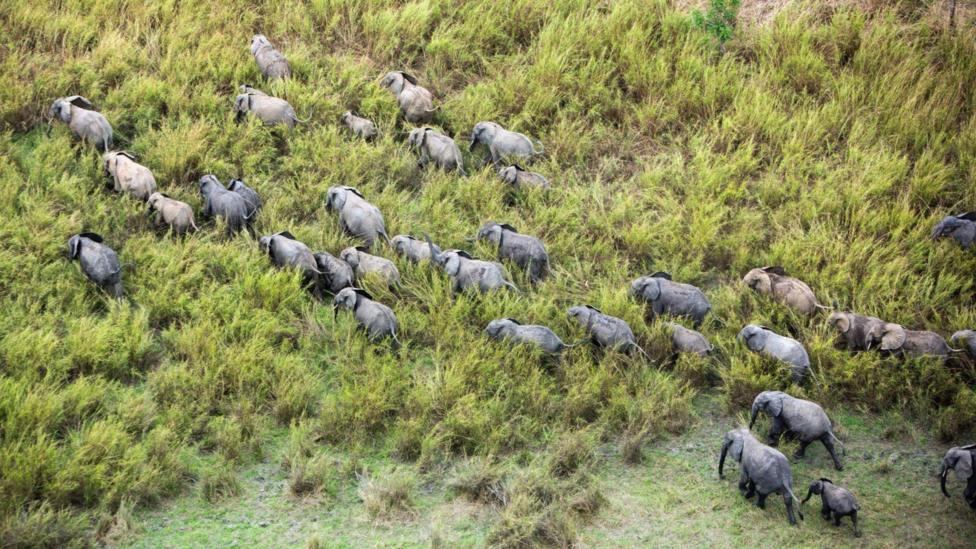 Sophy Roberts hosts talk at Sherborne Travel Writing Festival - BBC News