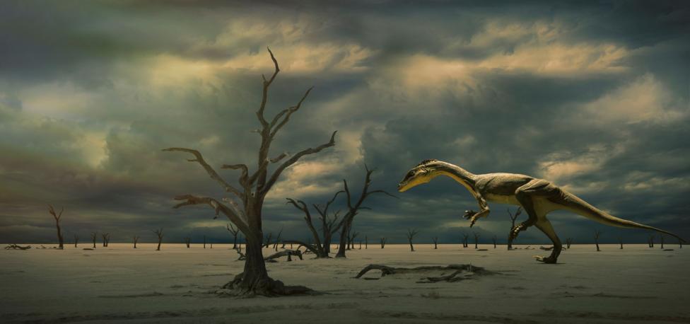Where were the first dinosaurs born? - BBC Newsround