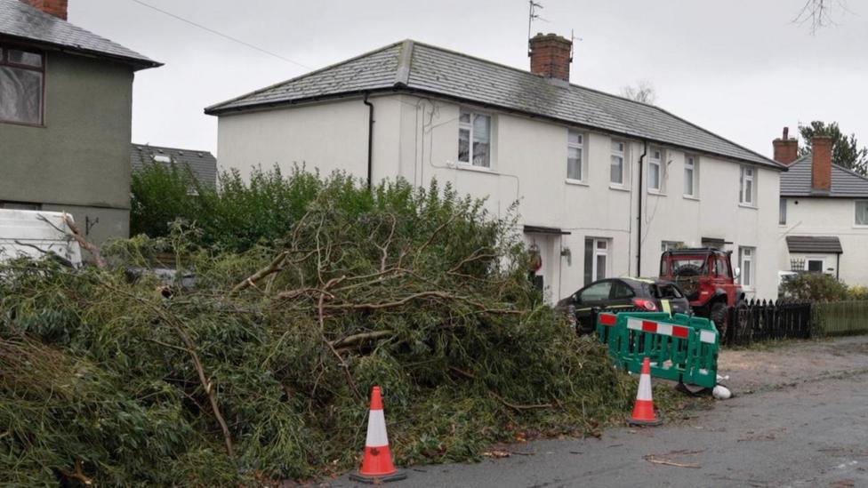 In pictures: Storm Darragh across East Yorkshire and Lincolnshire - BBC ...