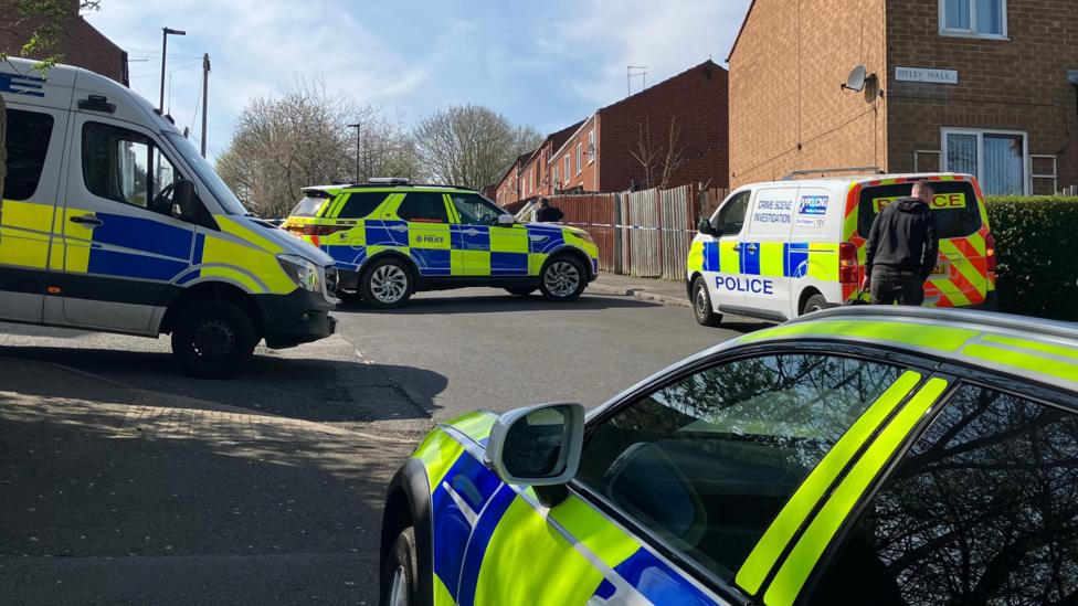 Attempted murder arrest as XL Bully 'on the loose' in Sheffield - BBC News