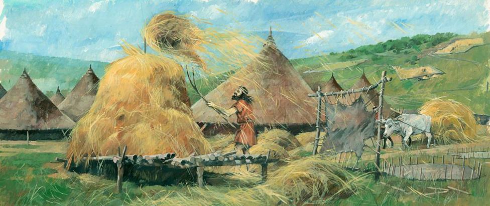 Rare Bronze Age wooden spade that's 3,500-years-old dug up in Poole ...