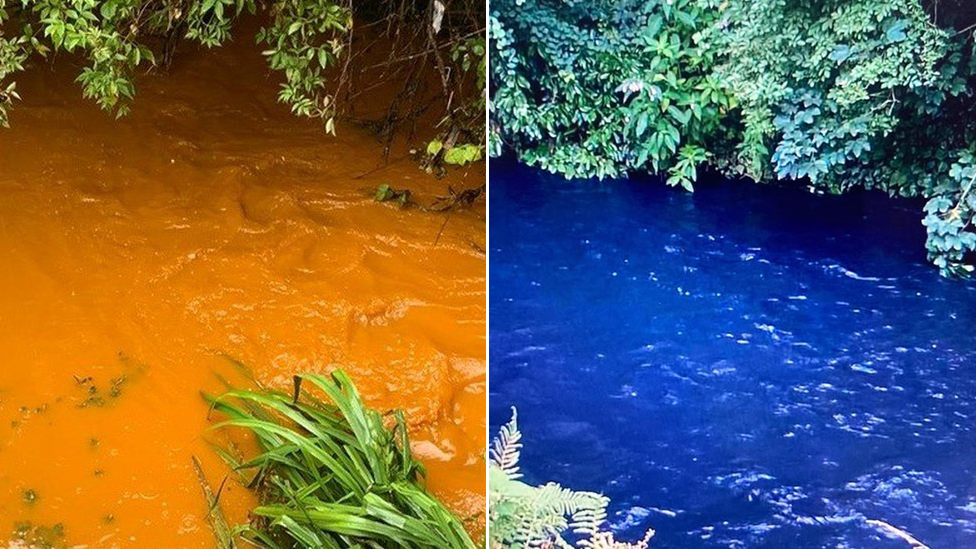 Investigation after Birmingham stream turns bright red - BBC News