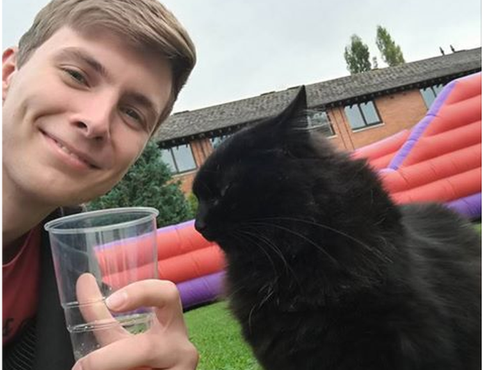 Dennis the campus cat attracts online fan club - BBC News