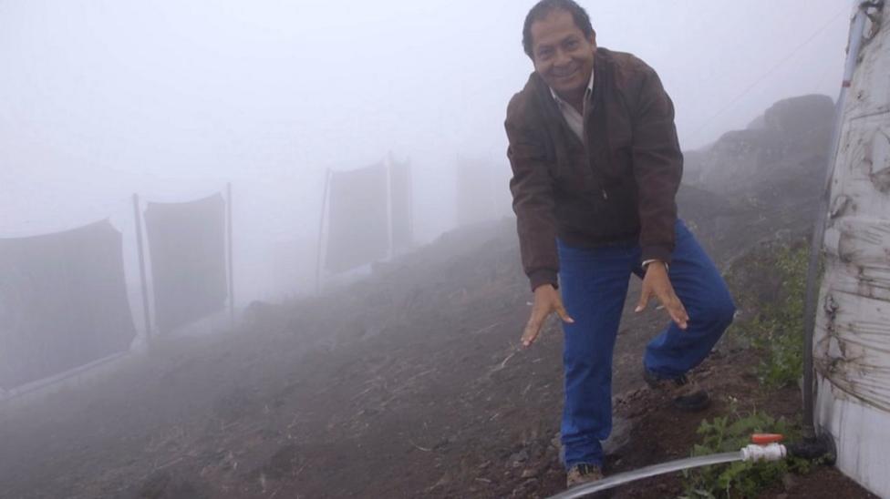 Guinea pigs: A popular Peruvian delicacy - BBC News