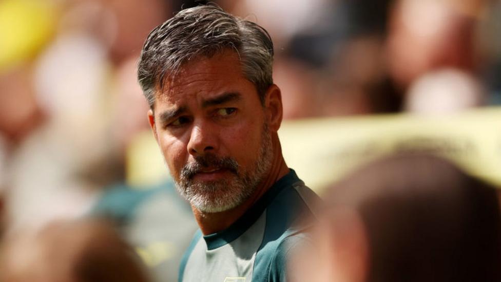 Pedro Lima: Norwich City sign Palmeiras midfielder on loan - BBC Sport
