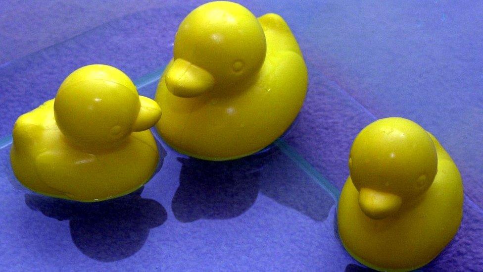 Sophie the Giraffe: How safe is it? - BBC News