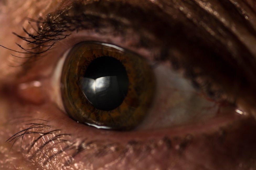 Your pictures on the theme of 'reading' - BBC News