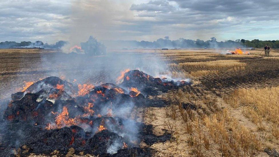 Three fields destroyed in large Ardleigh fire - BBC News