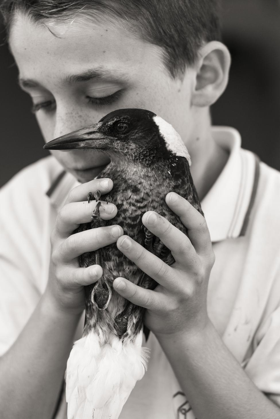 In pictures: The family and the magpie who rescued each other - BBC News
