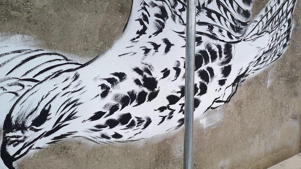 Giant buzzard art celebrates breeding birds of prey - BBC News