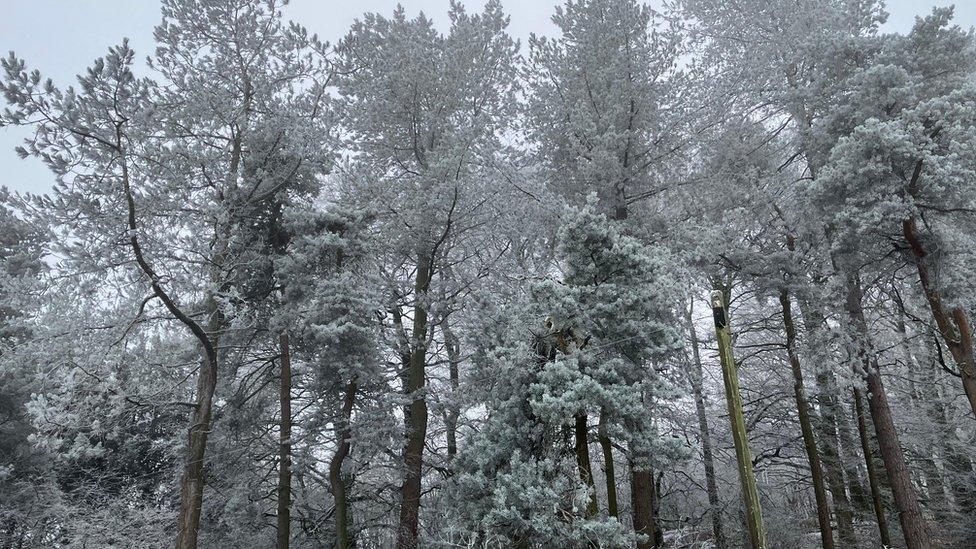 About 15 Worcestershire schools shut due to snow and ice - BBC News
