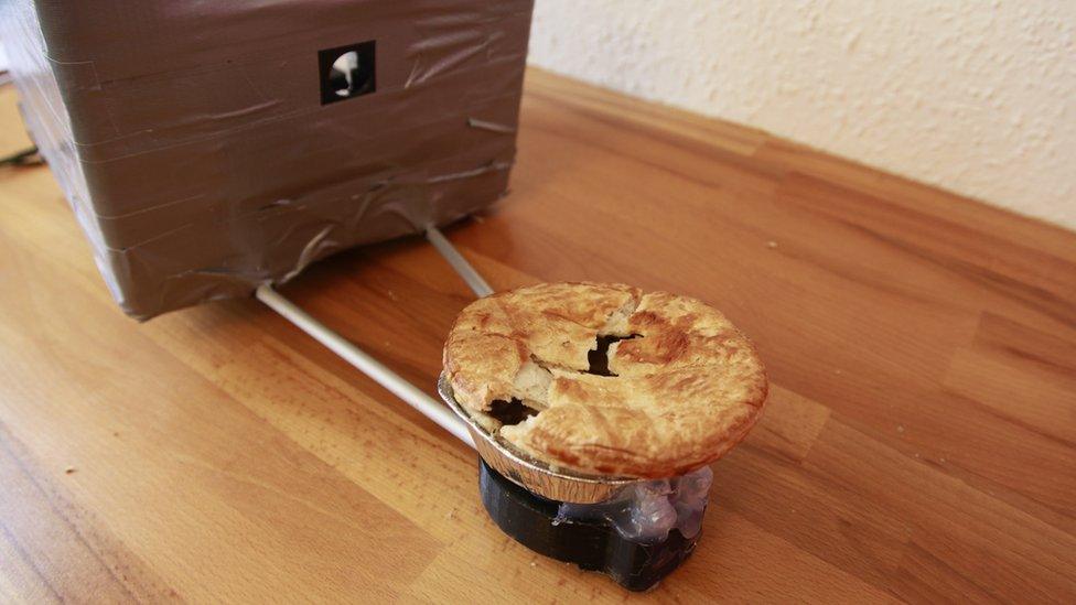 'Space pie' survives trip to final frontier and lands in North ...