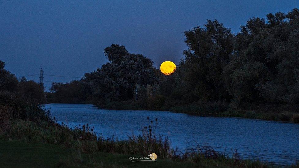 Hunter's Moon: Amazing pictures - BBC Newsround