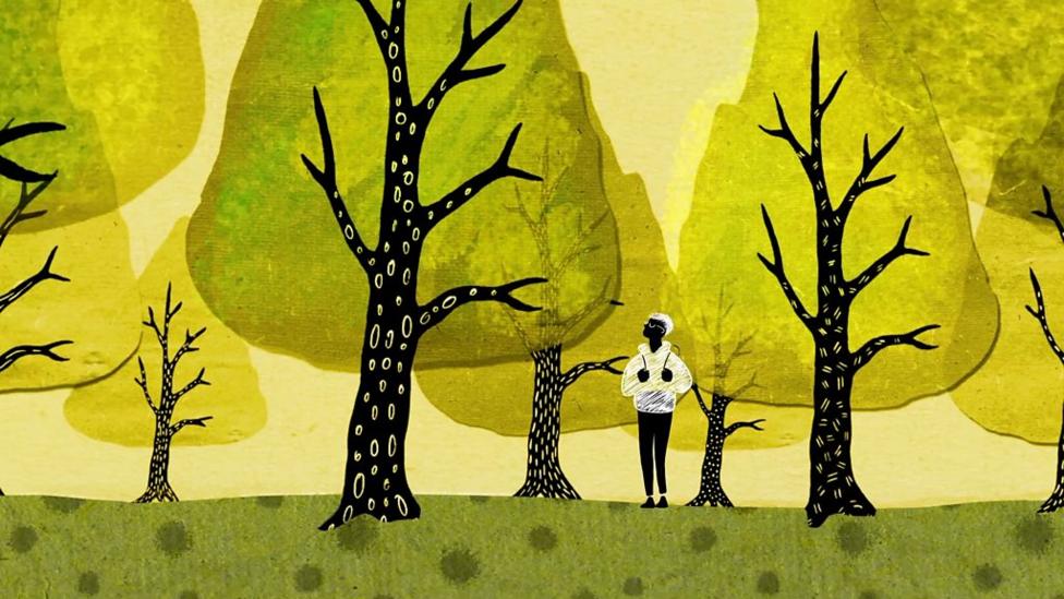 Wood wide web: Trees' social networks are mapped - BBC News