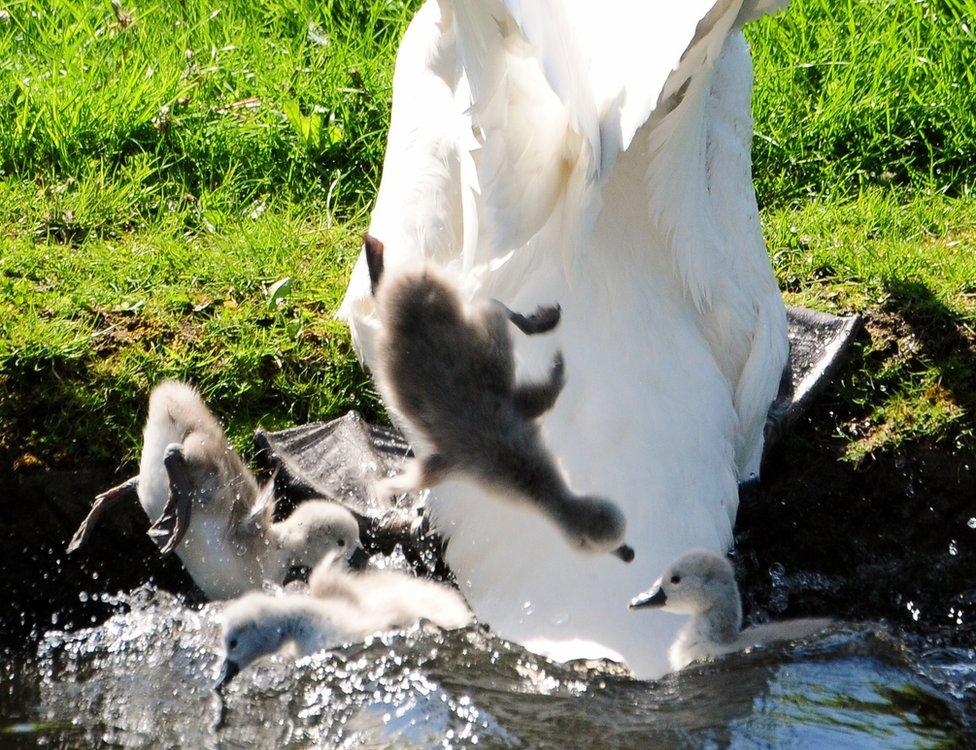 England's Big Picture: 16 - 22 May 2016 - BBC News
