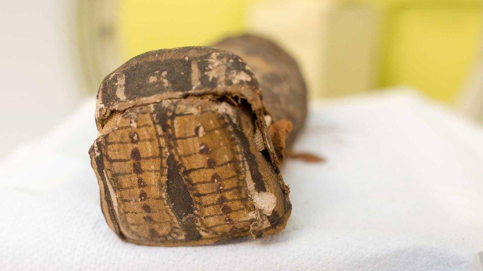 Mummified baby found in Maidstone Museum's 'hawk' - BBC News