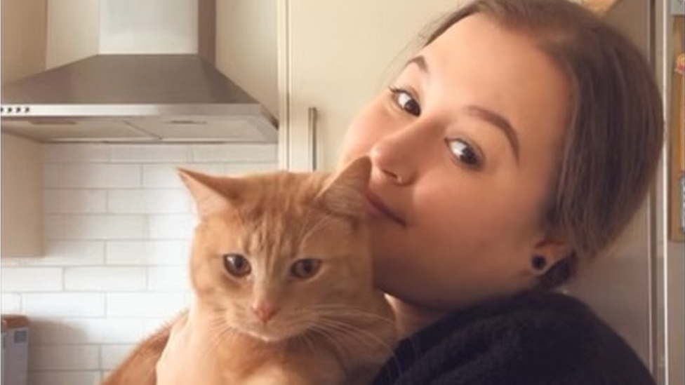 Torquay social media star cat home after three months - BBC News