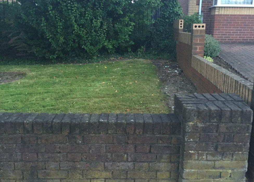 Dead fox found covered in oil in Luton - BBC News