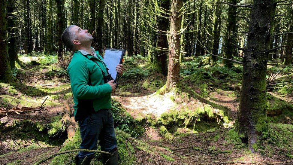 Davidstow Woods reopen after rave clean-up - BBC News