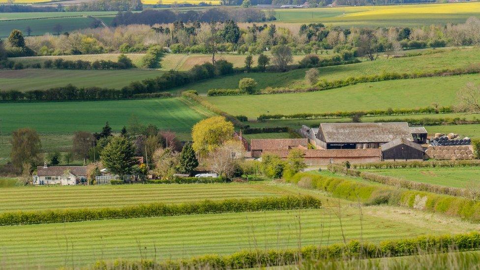Outdoor festival celebrates 'stunning' Lincolnshire Wolds - BBC News