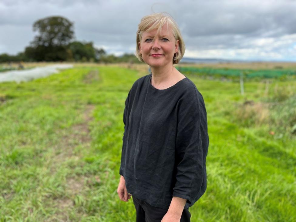 Flax: Bringing back the historic crop which could make fashion greener ...