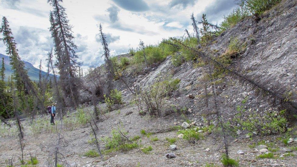 Warming speeds 'world's slowest moving landslides' - BBC News