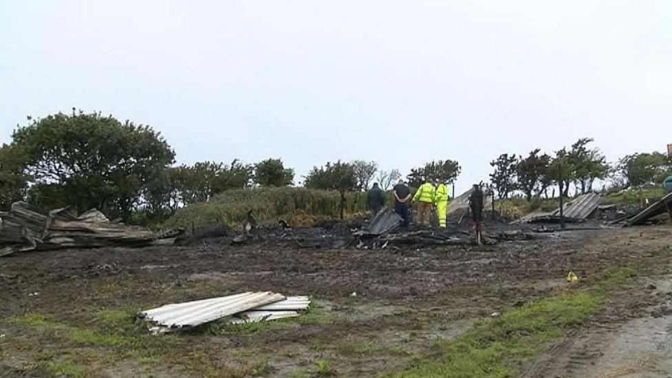 Pair arrested over barn blaze that killed five horses and dog - BBC News