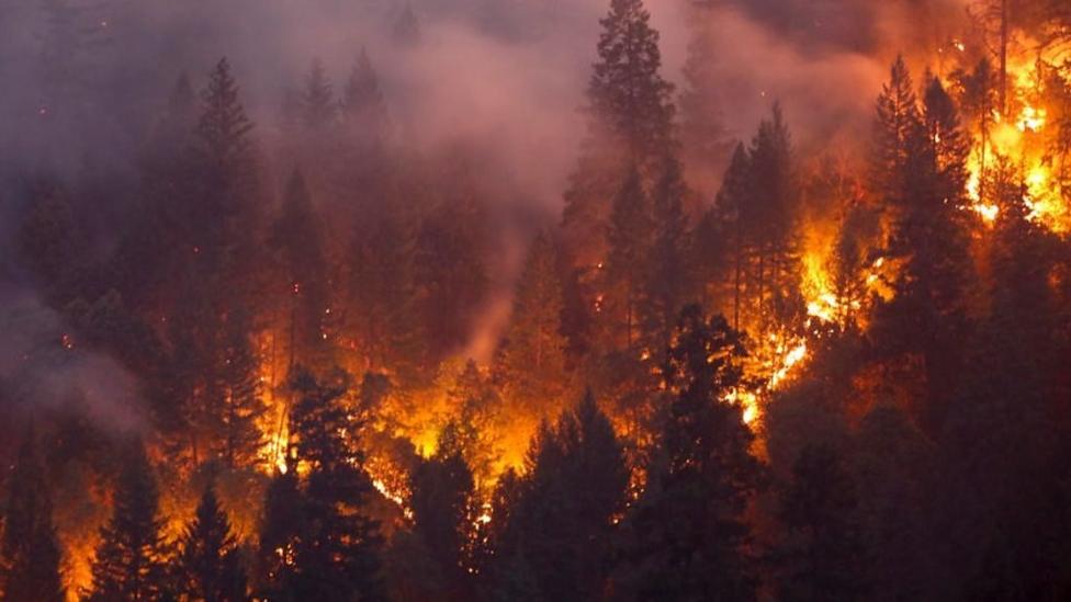 What are 'zombie fires' and why is the Arctic Circle on fire? - BBC ...