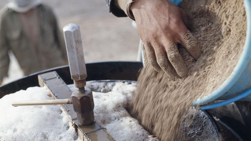 Pre-historic poo from sheep discovered by scientists - BBC Newsround