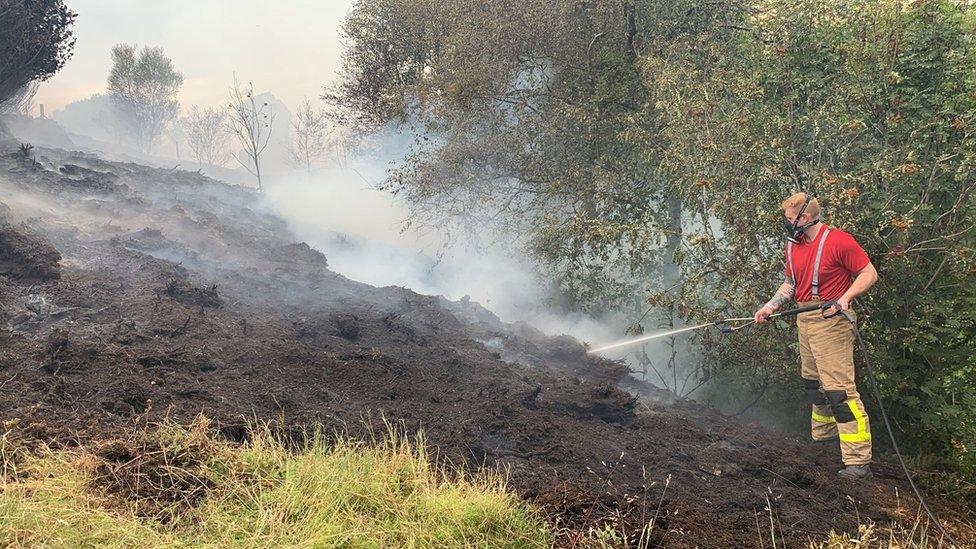 High temperatures started Mow Cop nature reserve fire - BBC News