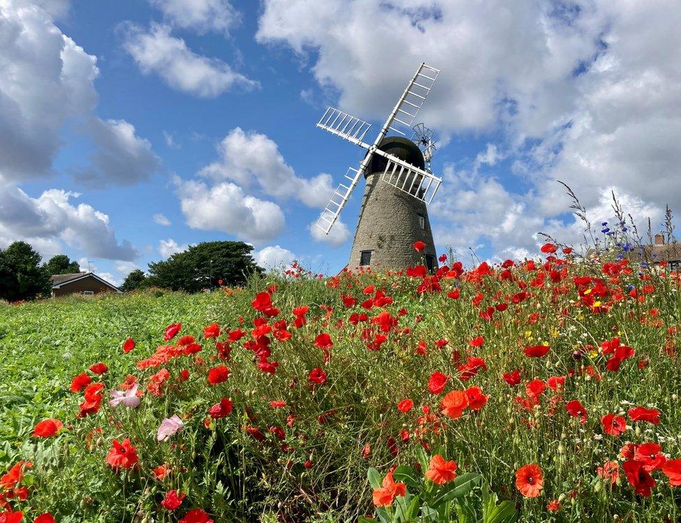 England's Big Picture: 10 July - 16 July 2023 - BBC News