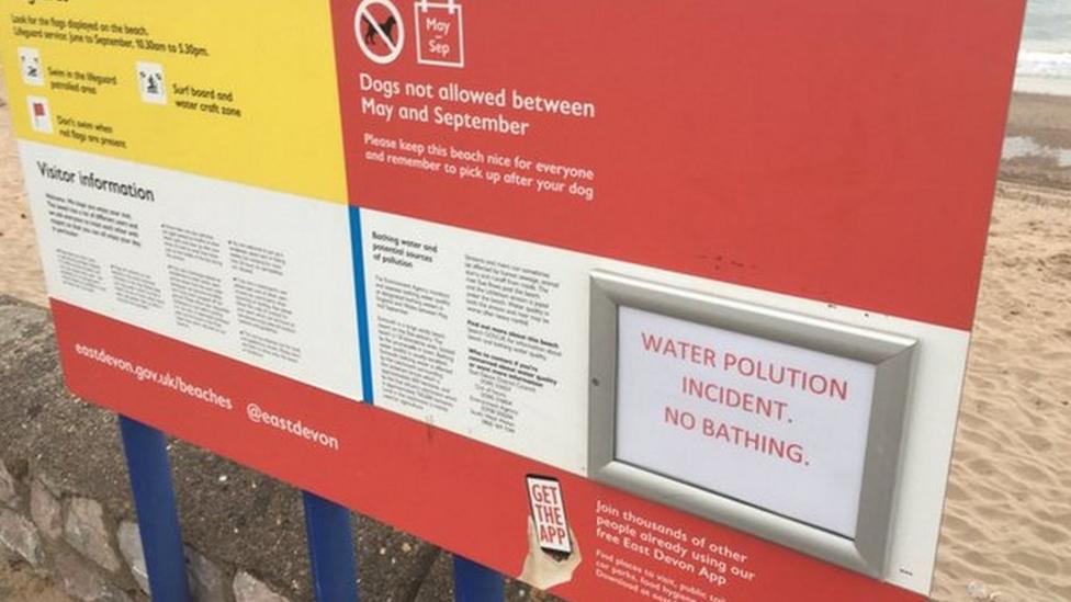 Cornwall beach cleaners join forces for clean-up - BBC News