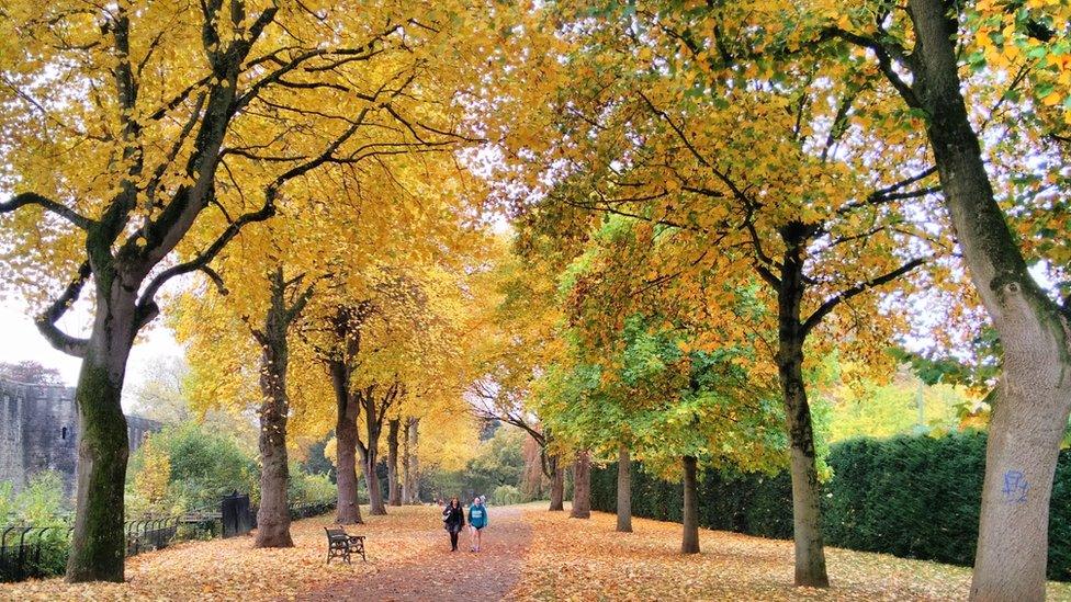 Your Pictures: 18-24 November - BBC News