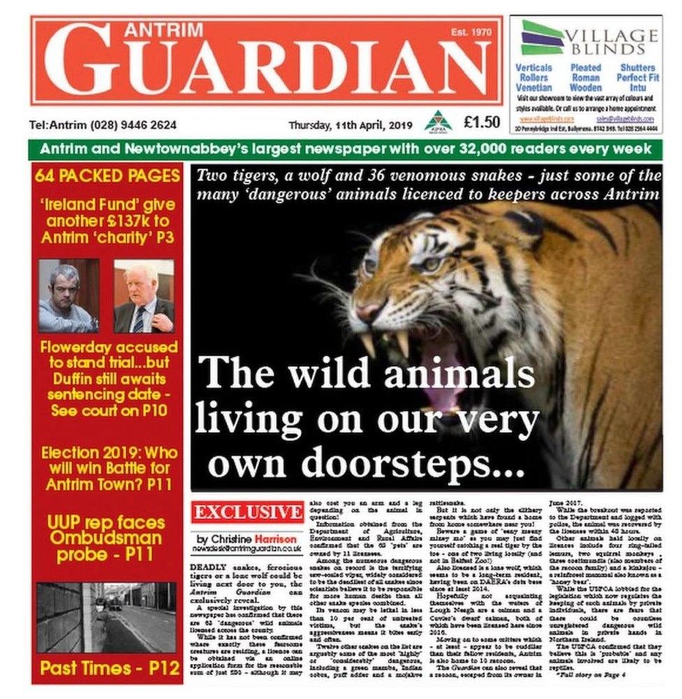 NI weekly paper review: The deadly snakes of County Antrim - BBC News