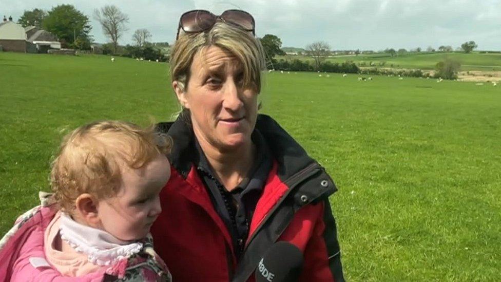 Lamb 'beaten to death' by children with sticks - BBC News