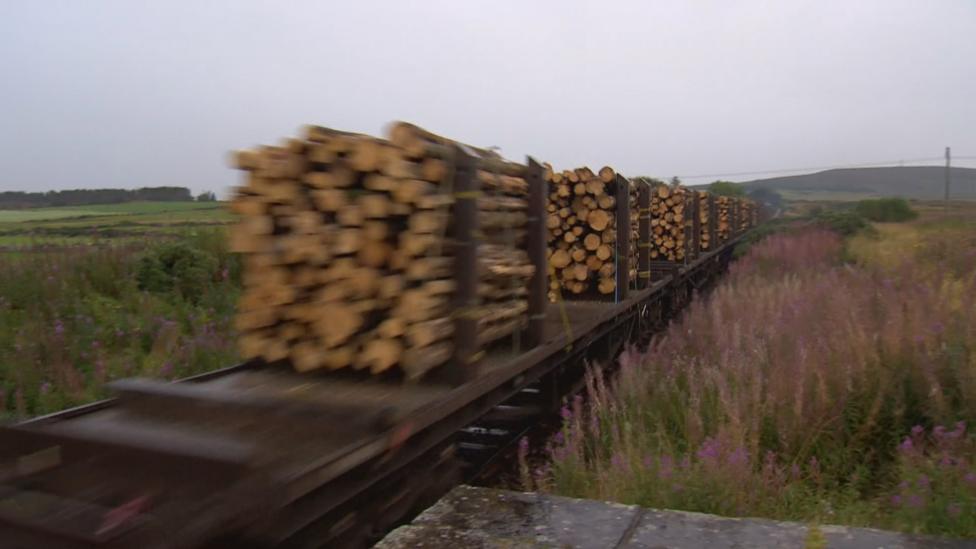 Carlisle timber railhead expansion plans approved - BBC News