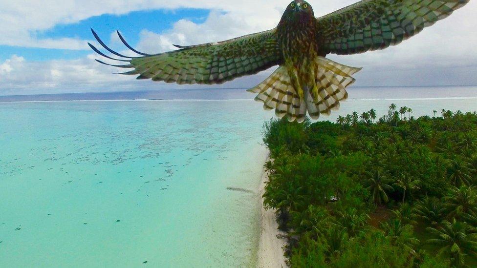 Drone photography: on top of the world - BBC News