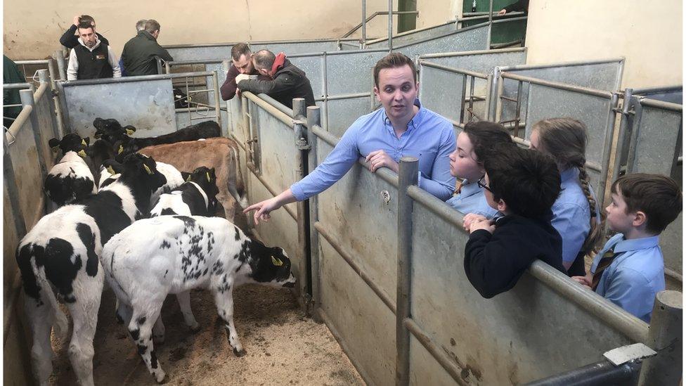 Fermanagh pupils learn value of cattle farming - BBC News