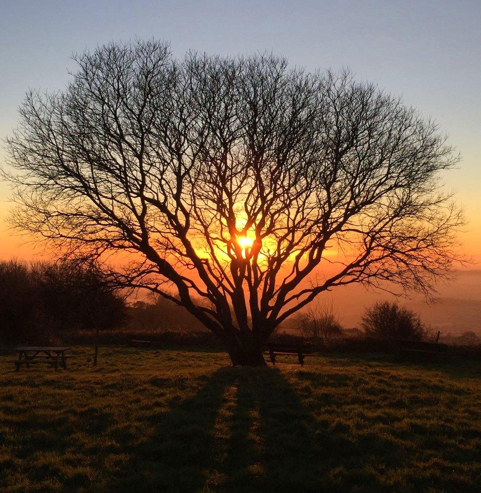 England's Big Picture: 5 - 11 December - BBC News